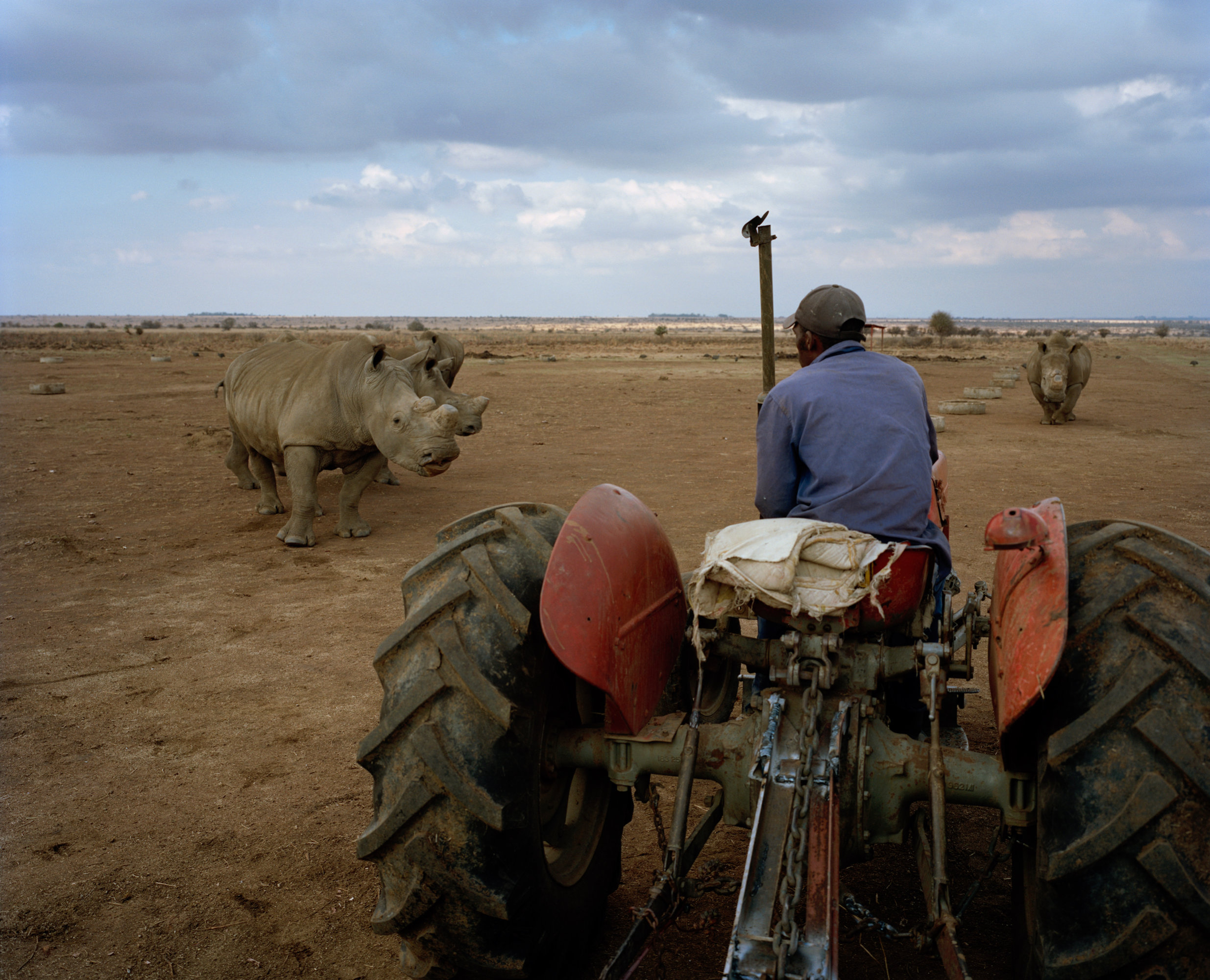 rhino farm - David Chancellor