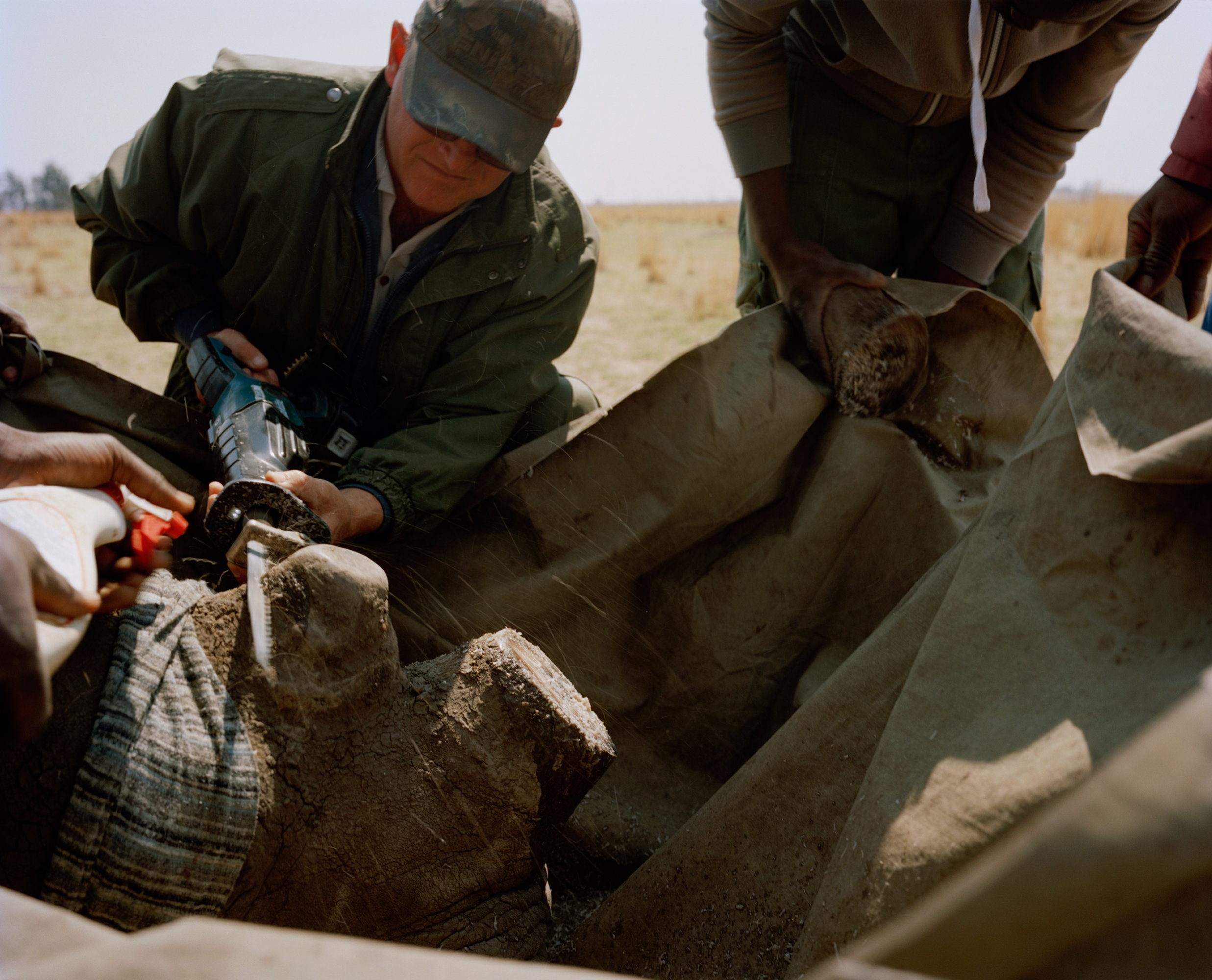 rhino farm - David Chancellor
