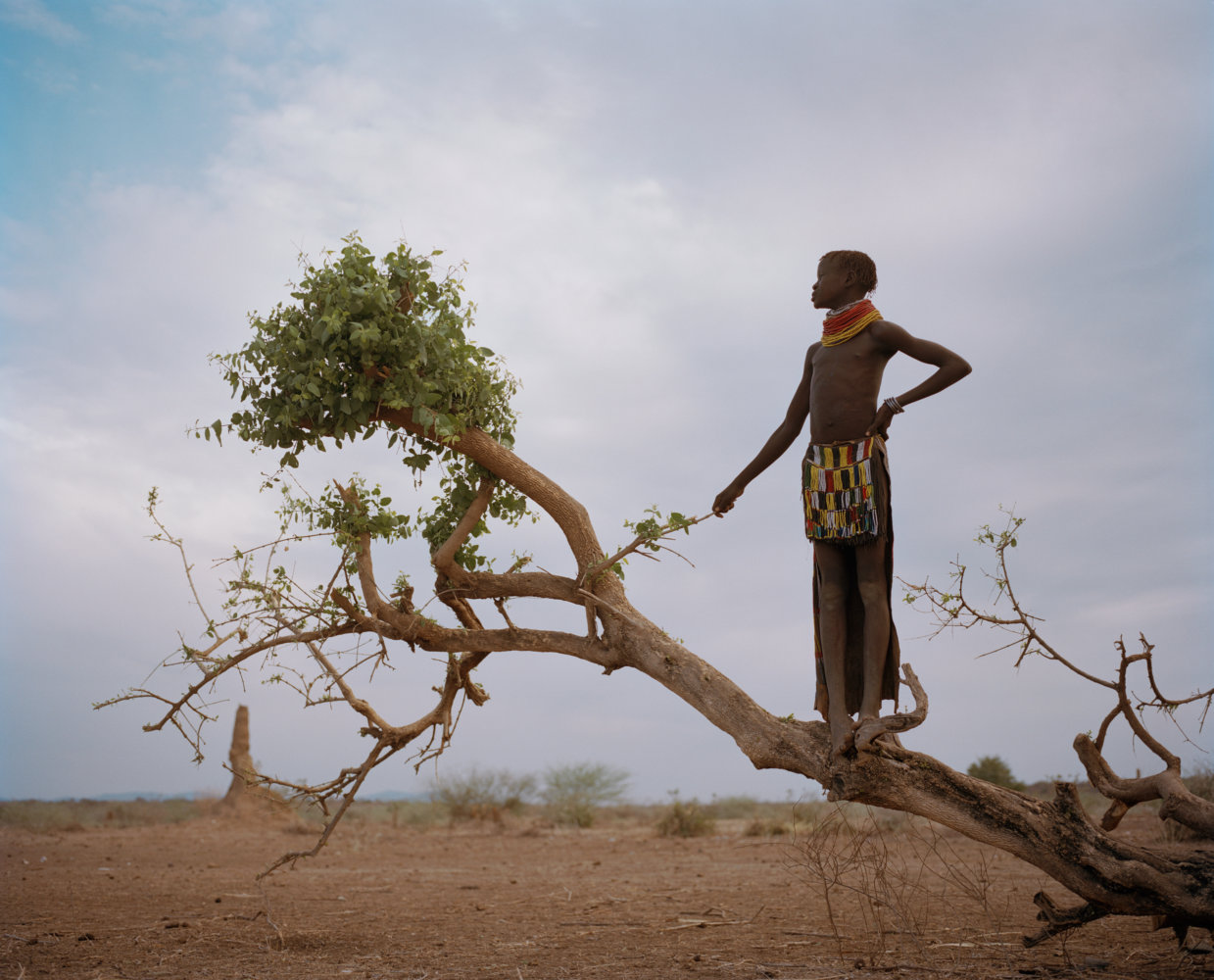 omo - David Chancellor