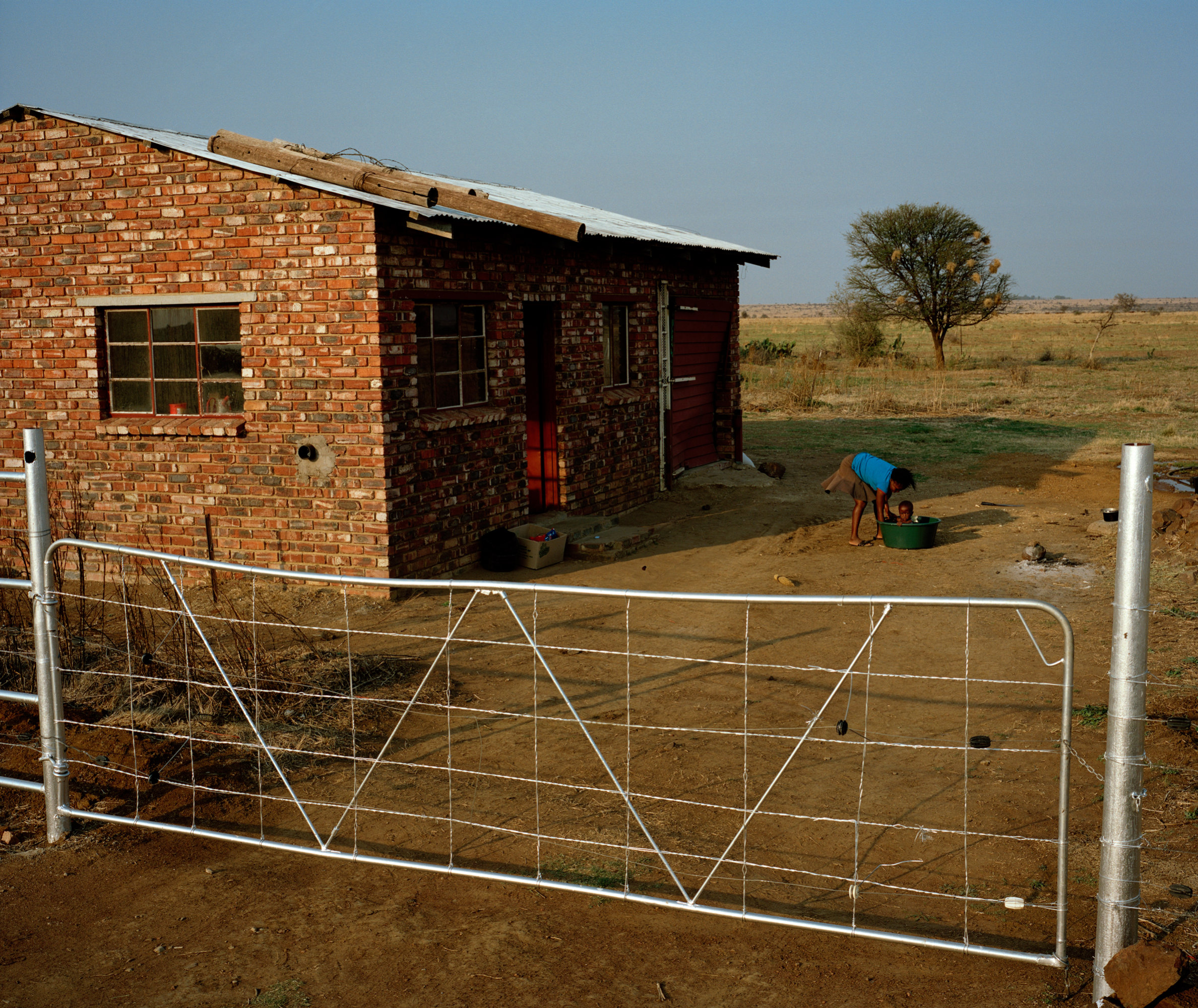 rhino farm - David Chancellor