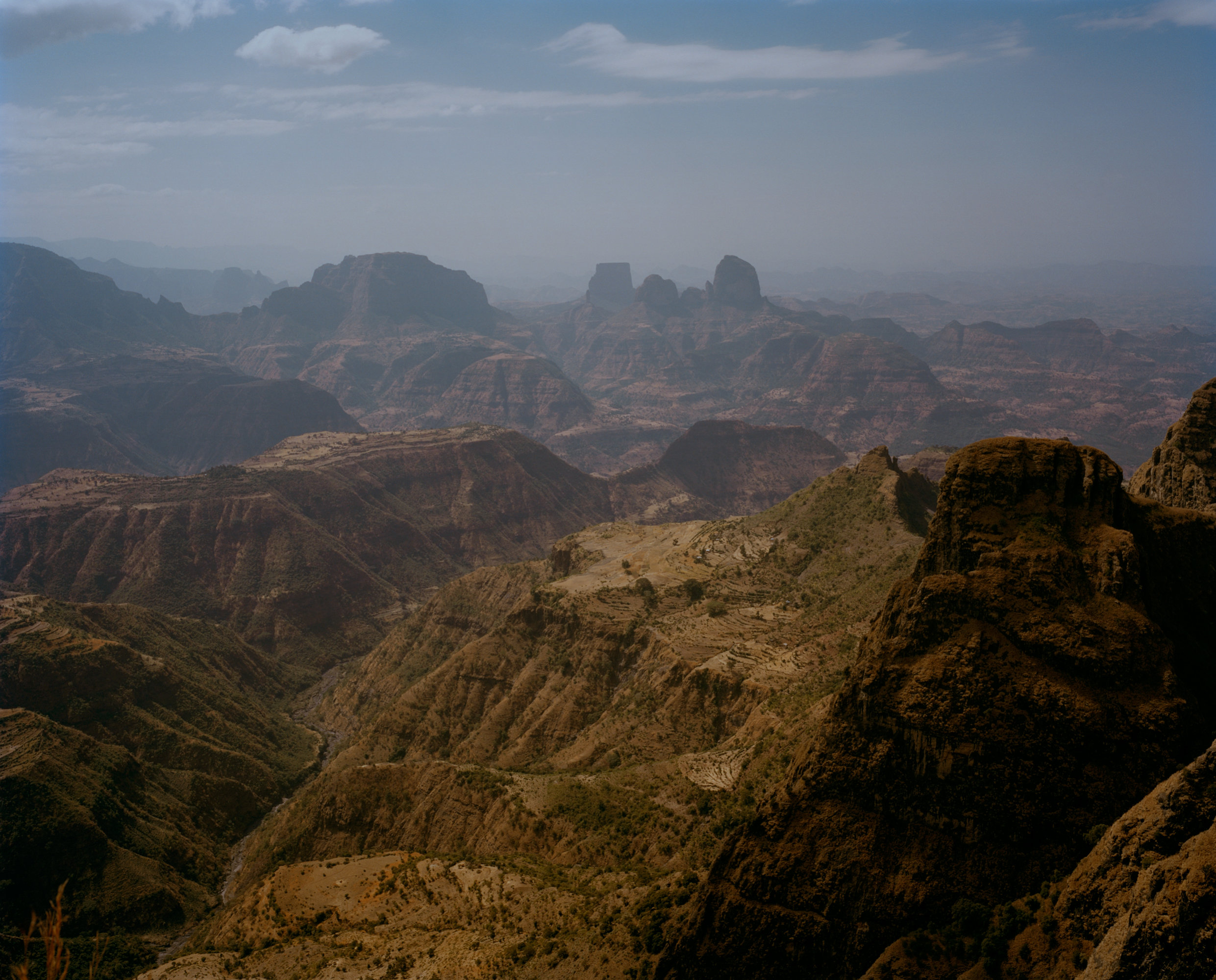 simien - David Chancellor